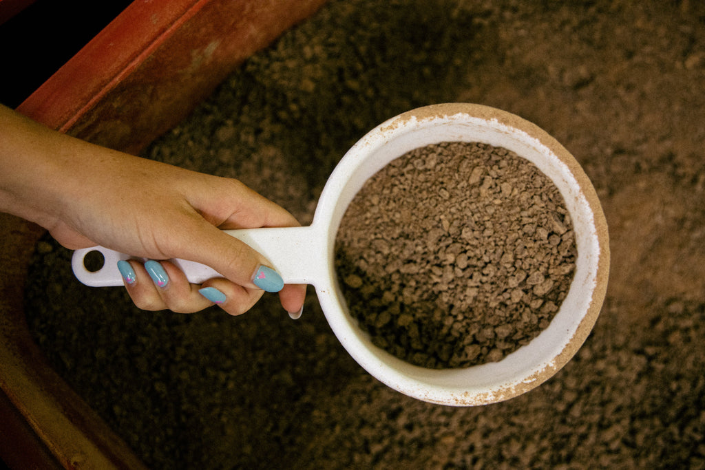 Solomons Gold: A Family-Owned Artisanal Chocolate Business – Kiwi Artisan